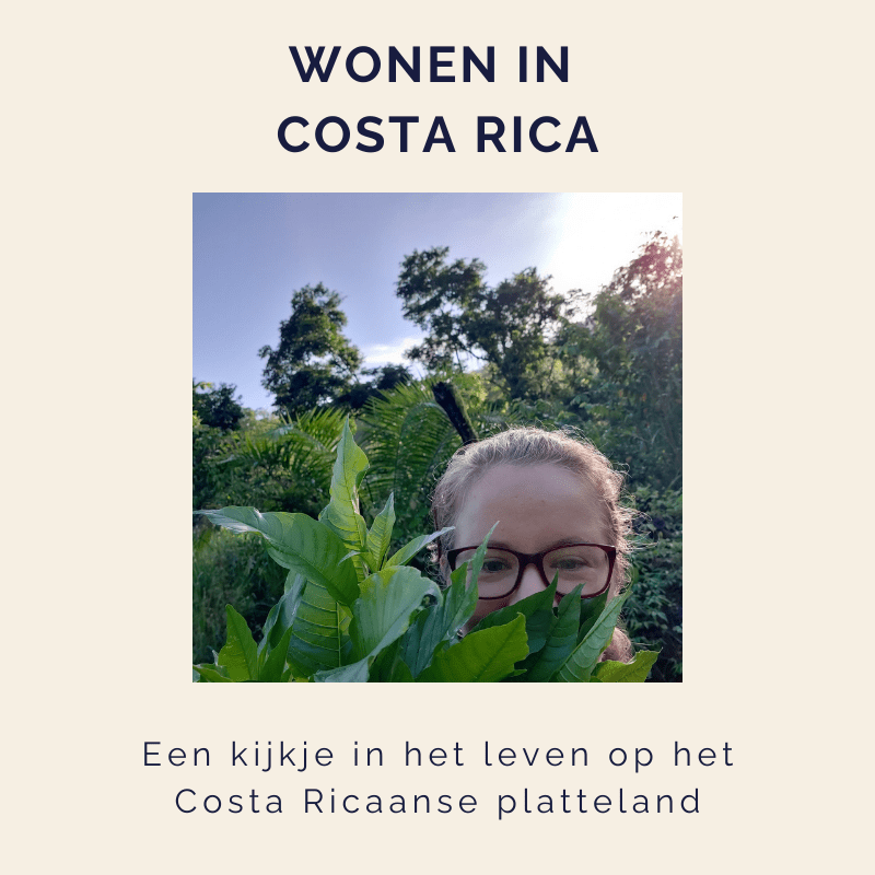 Wonen in Costa Rica - E-Book - Bestemming Pura Vida
